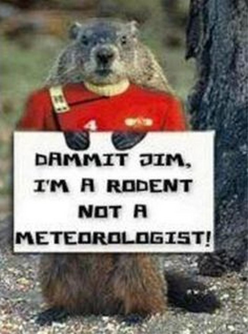 41 Funny Groundhog Day Memes