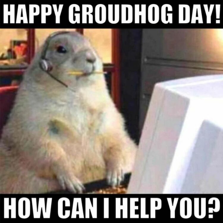 41 Funny Groundhog Day Memes