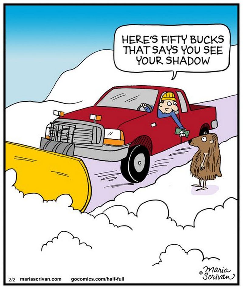 41 Funny Groundhog Day Memes