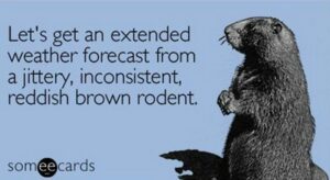 41 Funny Groundhog Day Memes