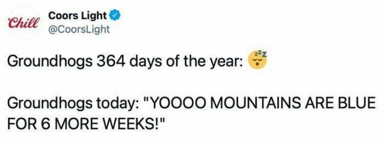 41 Funny Groundhog Day Memes