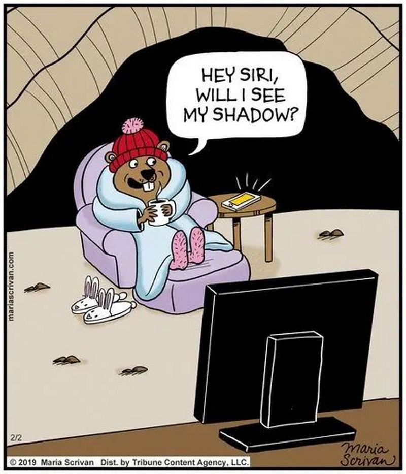 41 Funny Groundhog Day Memes