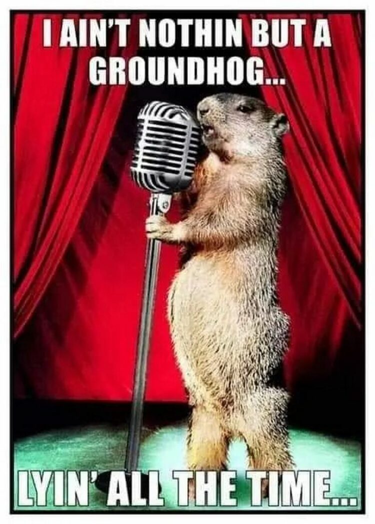 41 Funny Groundhog Day Memes