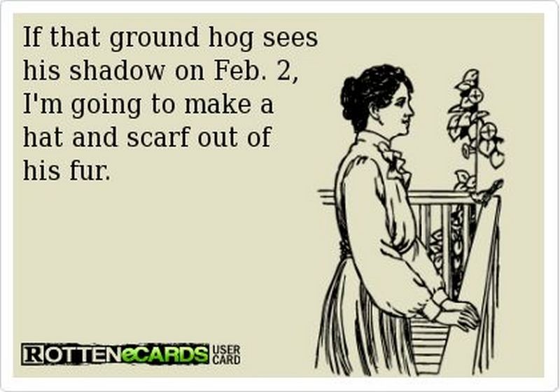 41 Funny Groundhog Day Memes