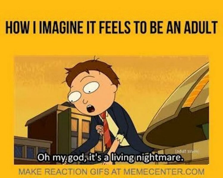 35 Funny Rick and Morty Memes