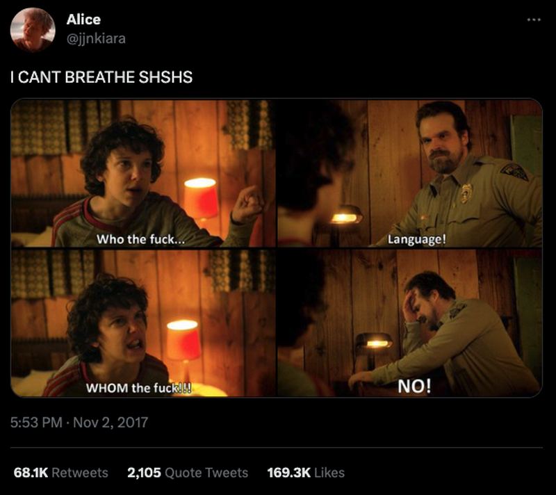 27 Funny Stranger Things Memes