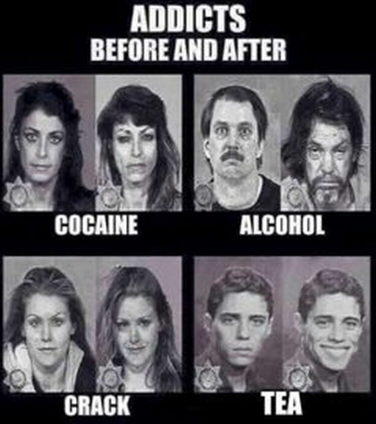 53 Funny Memes for Tea Lovers Everywhere