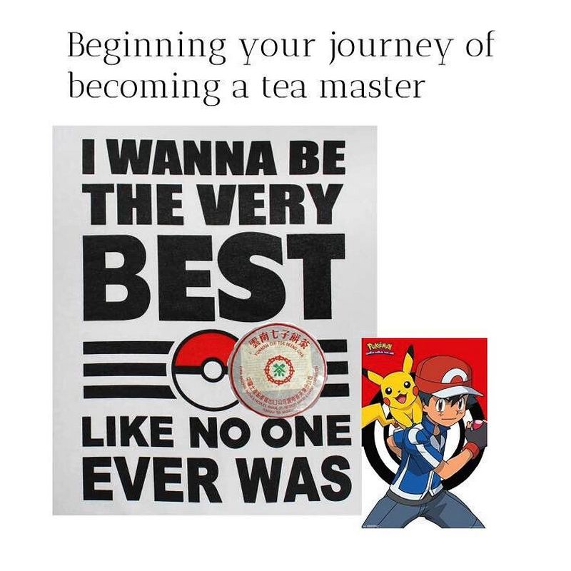 53 Funny Memes for Tea Lovers Everywhere