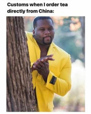 53 Funny Memes for Tea Lovers Everywhere