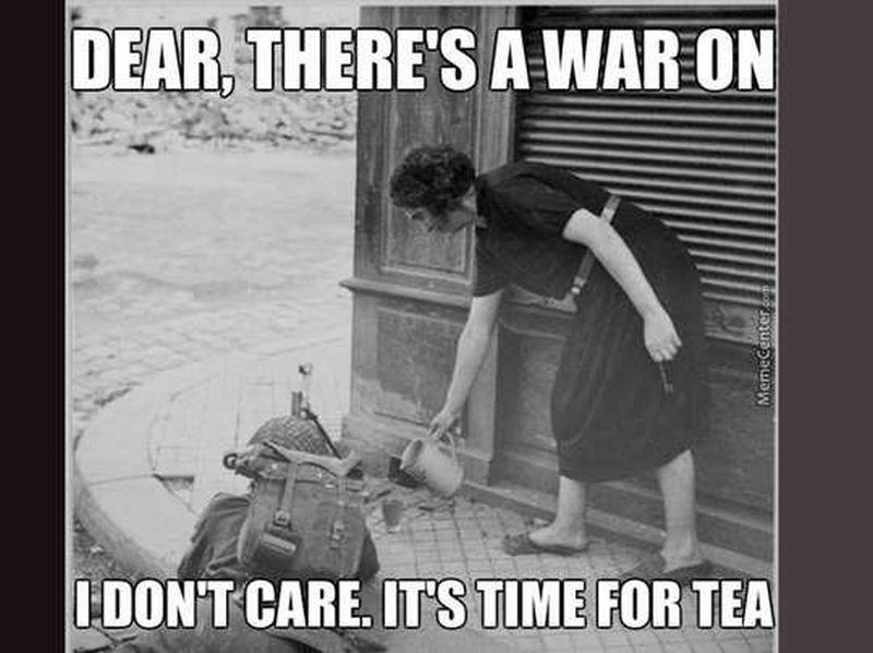 53 Funny Memes for Tea Lovers Everywhere