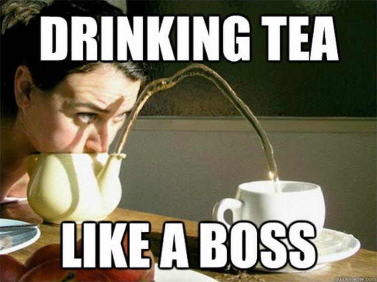 53 Funny Memes for Tea Lovers Everywhere
