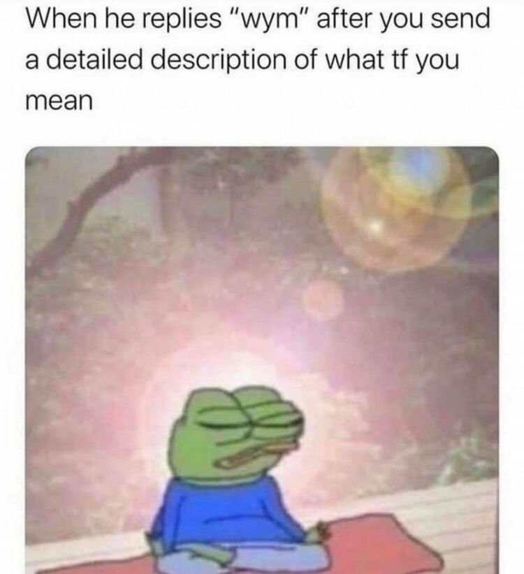 39 Funny Cartoon Memes Full of Humor