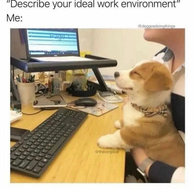 75 Funny and Cute Doggo Memes for Dog Lovers