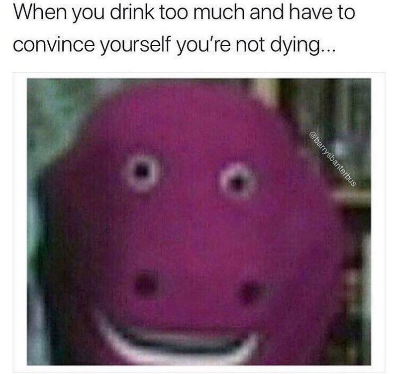 33 Funny Drinking Memes That Are Drunk and Ready to Party