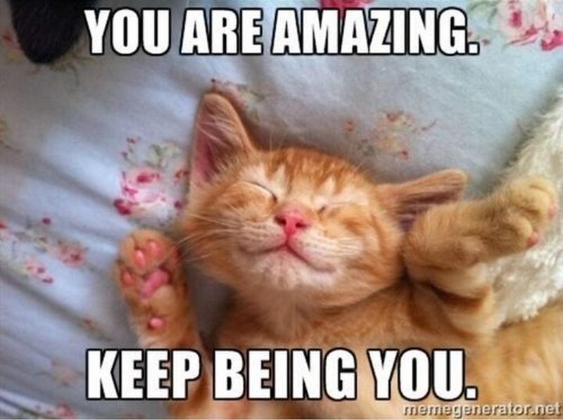 49 Encouraging Memes to Motivate You and Make You Smile