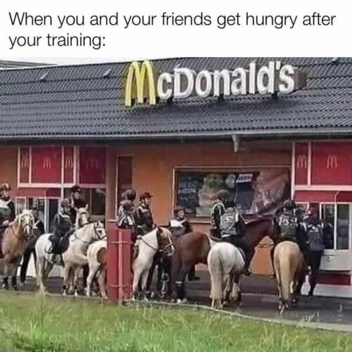 45 Horse Memes Guaranteed to Make You Smile