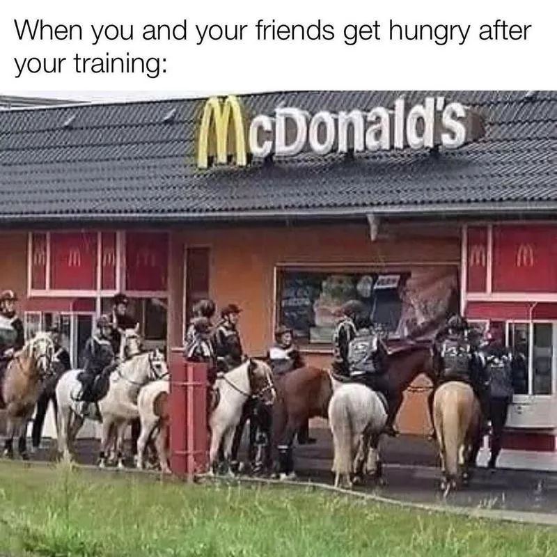 45 Horse Memes Guaranteed to Make You Smile
