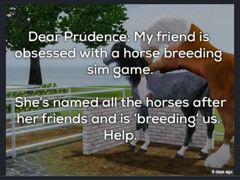 45 Horse Memes Guaranteed to Make You Smile