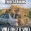 45 Horse Memes Guaranteed to Make You Smile