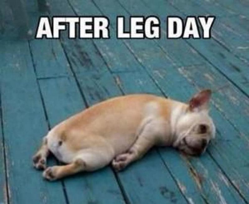 55 Funny Leg Day Memes