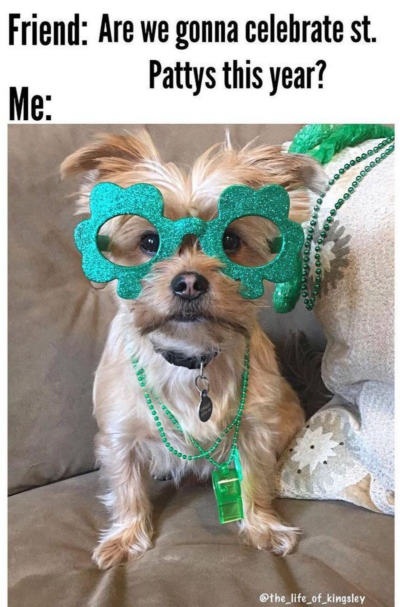 39 Funny Saint Patrick’s Day Memes