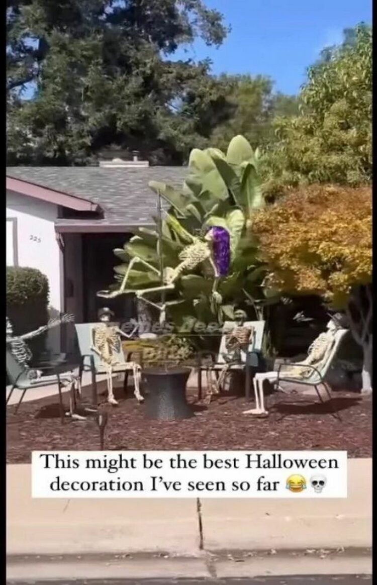 31 Funniest Scary Movie Memes Horror Fans Will Love