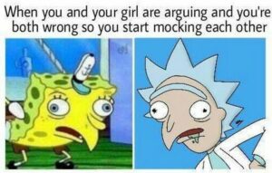 35 Silly Memes to Make Your Day