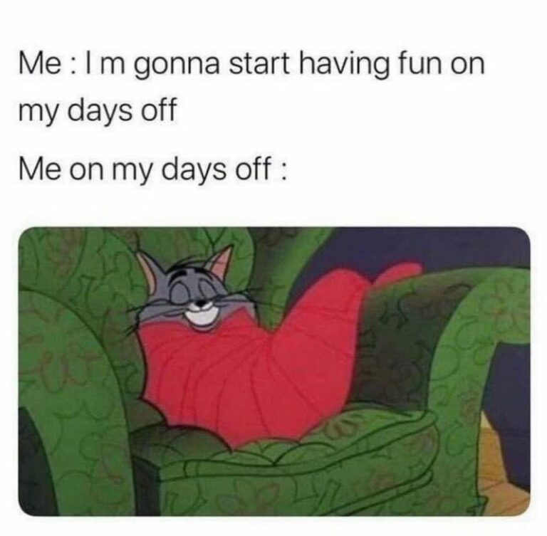 35 Silly Memes to Make Your Day