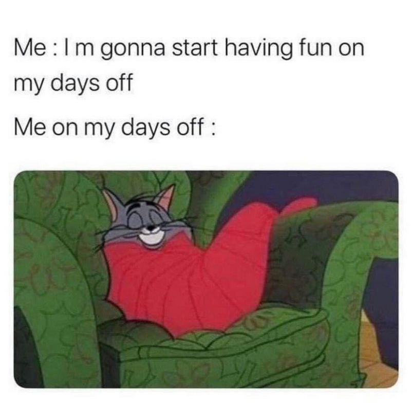 35 Silly Memes to Make Your Day