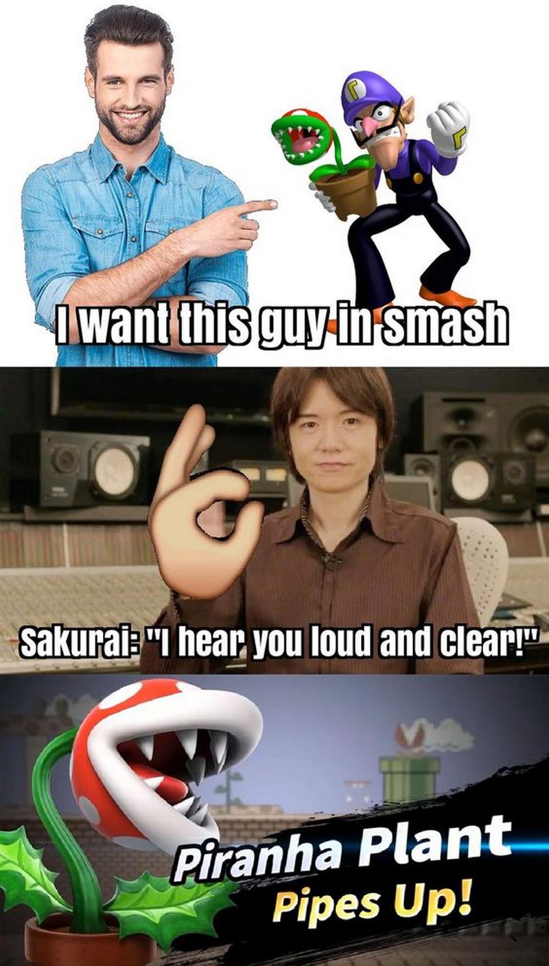 35 Super Smash Bros Memes