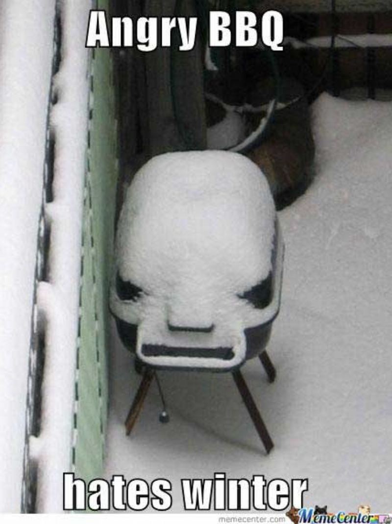 47 Funny Snow Memes for Winter