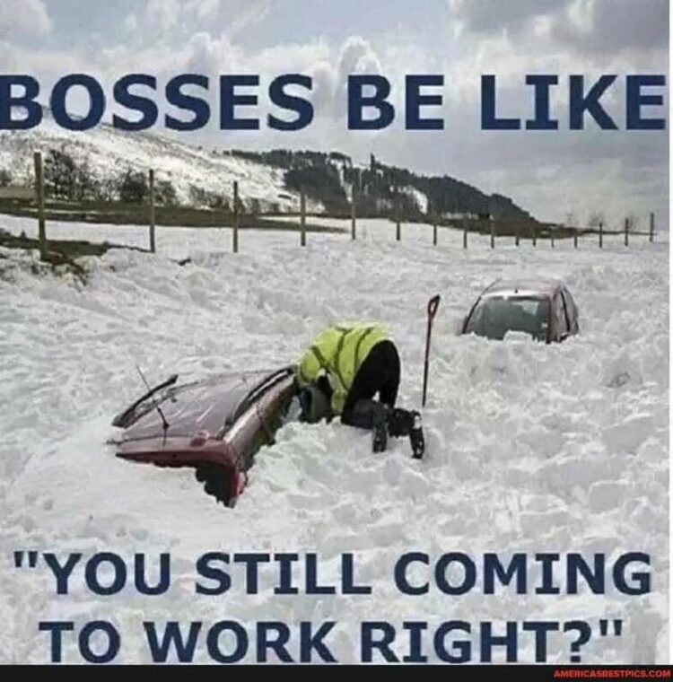 47 Funny Snow Memes for Winter