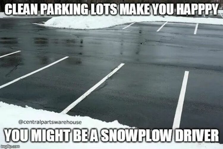 47 Funny Snow Memes for Winter
