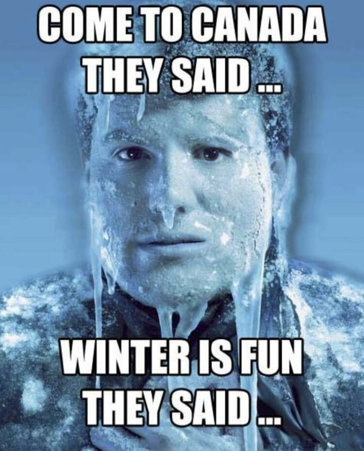 47 Funny Snow Memes for Winter