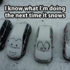 47 Funny Snow Memes for Winter