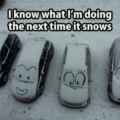 47 Funny Snow Memes for Winter