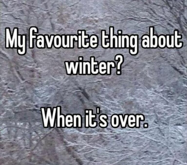 47 Funny Snow Memes for Winter