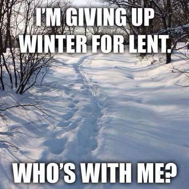 47 Funny Snow Memes for Winter