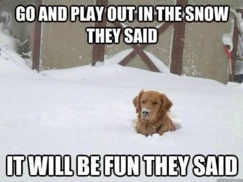 47 Funny Snow Memes for Winter