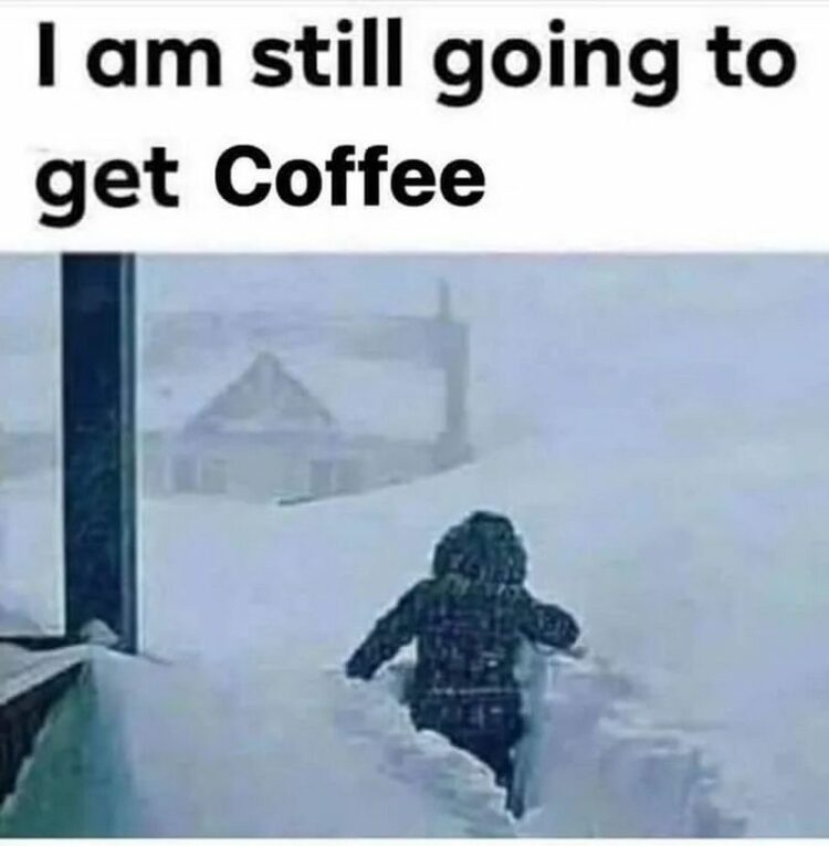 47 Funny Snow Memes for Winter