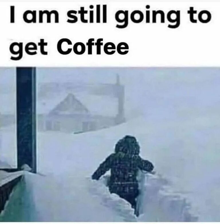 47 Funny Snow Memes for Winter
