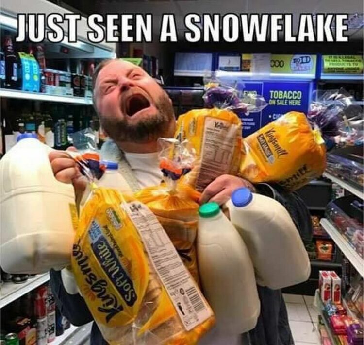 47 Funny Snow Memes for Winter