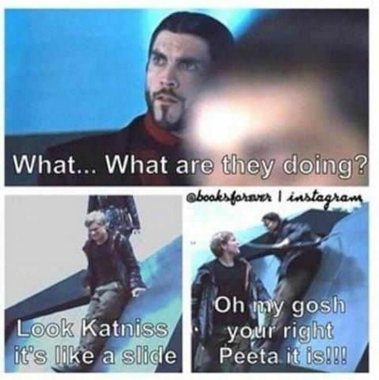 43 Funny Hunger Games Memes