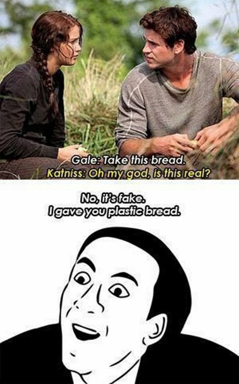 43 Funny Hunger Games Memes