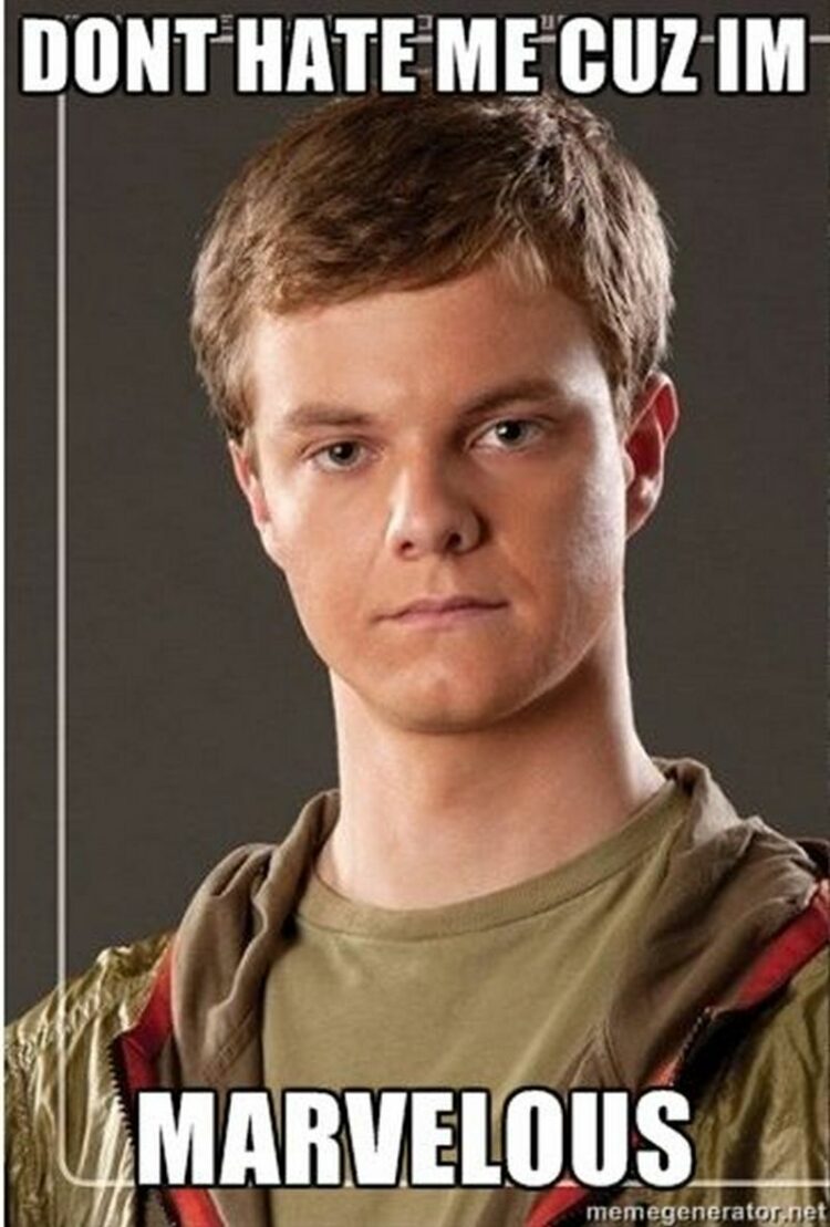 43 Funny Hunger Games Memes