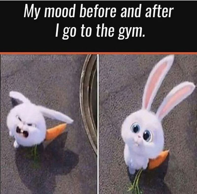 41 Funny Workout Memes for Gym Day