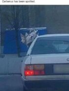 31 Crazy Memes to Make You Laugh and Take the Edge Off