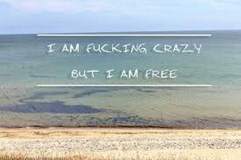 31 Crazy Memes to Make You Laugh and Take the Edge Off