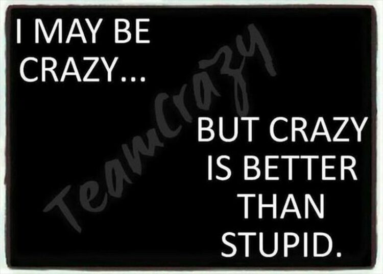 31 Crazy Memes to Make You Laugh and Take the Edge Off