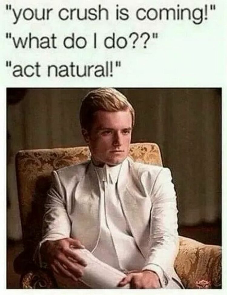 37 Hysterically Relatable Crush Memes You Can't Help But Share